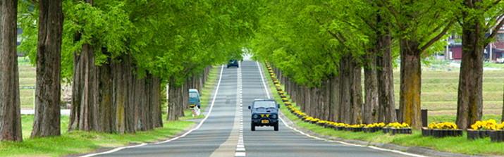 英语词语杂谈（240）delve into 与 dig into - 知乎