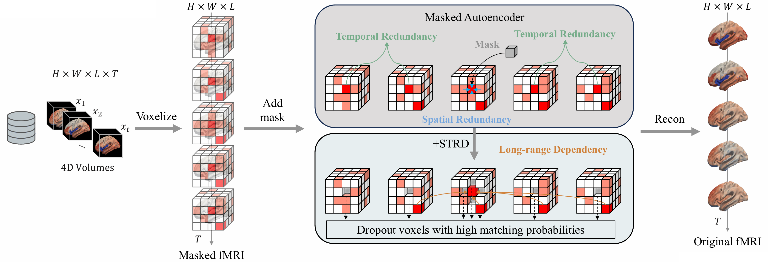 Nature Biomedical Engineering: 一个通用的 4D fMRI 分析基础模型 - 知乎