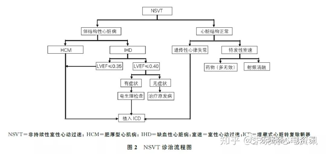 非持续性室速（NSVT）定义、病因、机制、临床表现、诊断、 - 知乎