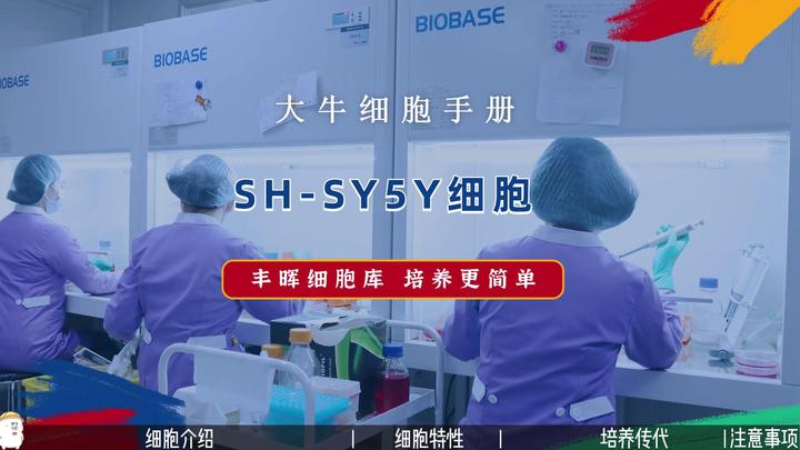 SH-SY5Y细胞培养，人神经母细胞瘤细胞培养攻略 - 知乎