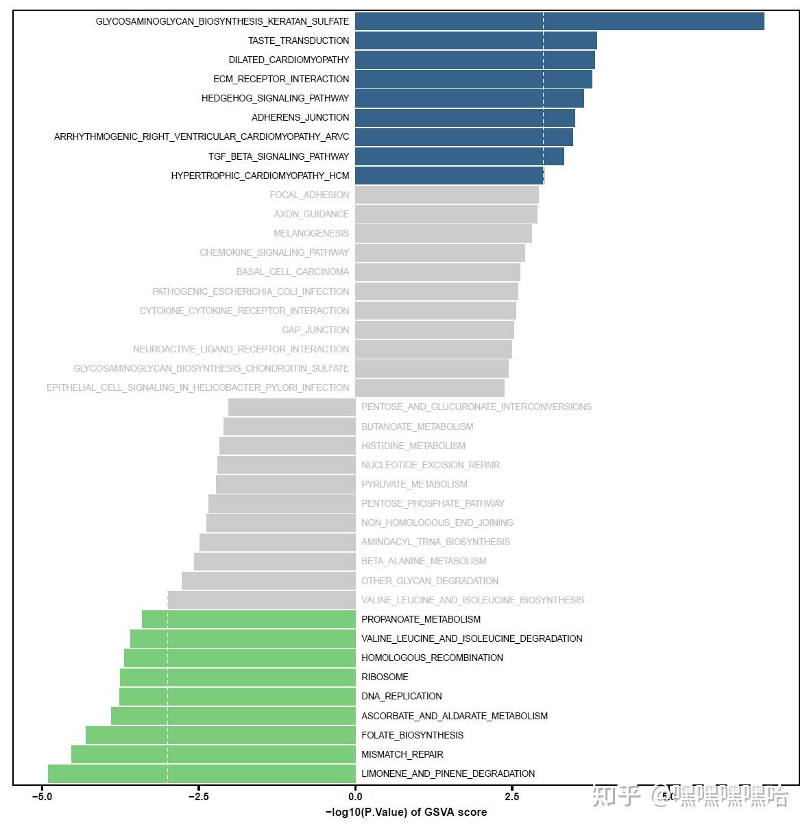RNA-seq入门实战（八）：GSVA——基因集变异分析 - 知乎
