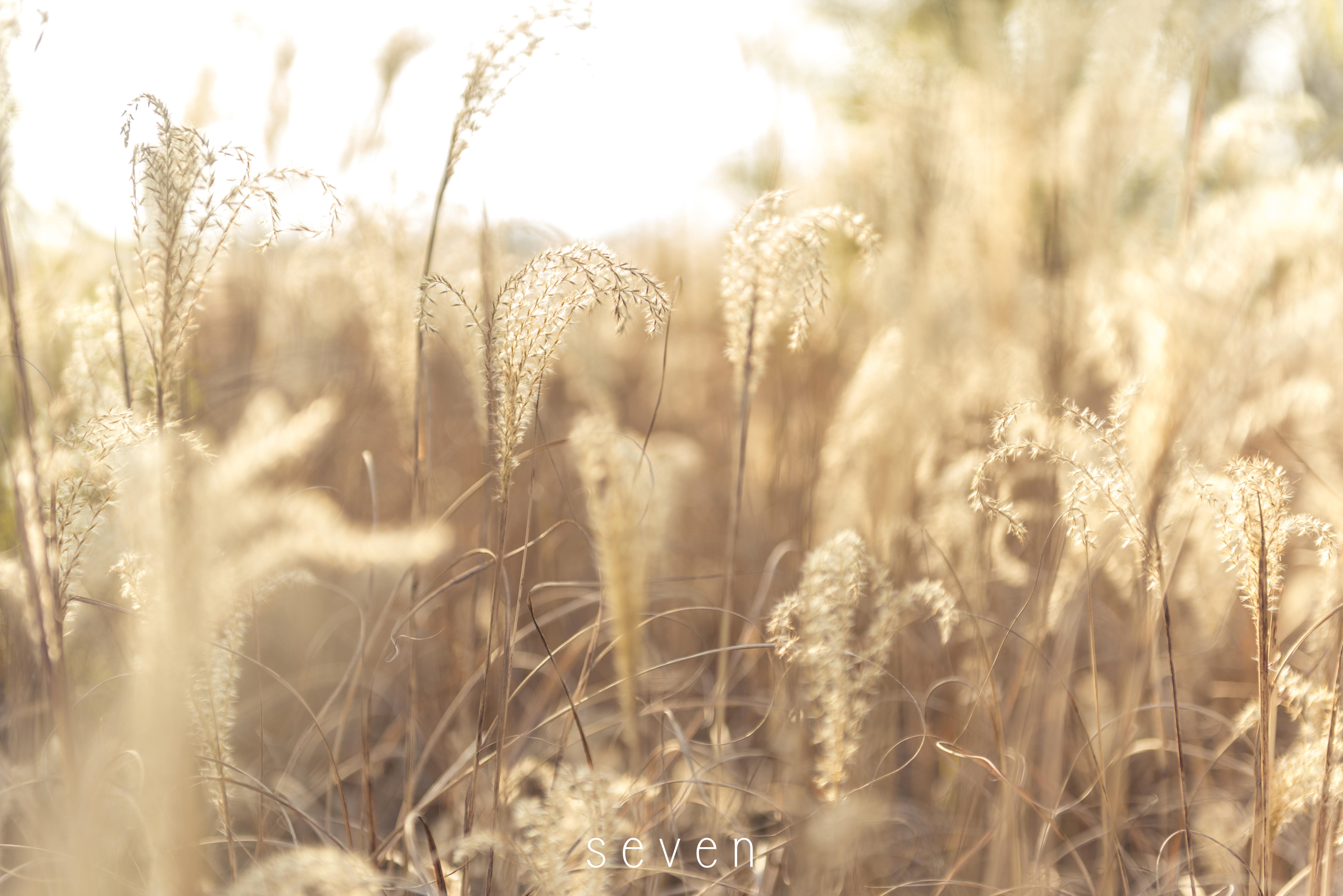 CNAS、CNCA、CCAA的关系的什么用 - 知乎