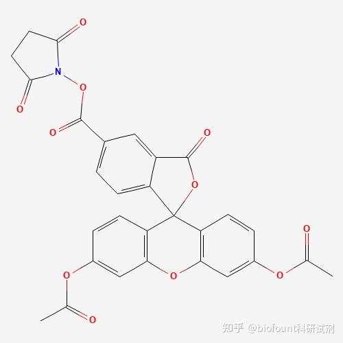 CFDA-SE；细胞增殖示踪荧光探针 - 知乎