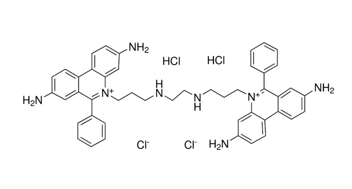 同二聚乙胺-1 (EthD-1)；死细胞染色 - 知乎