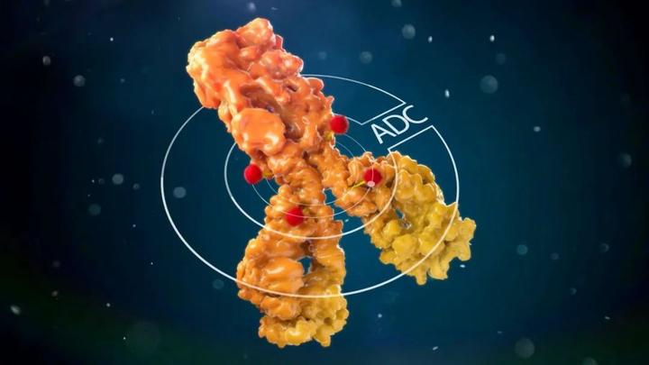 “神刊”CA重磅综述：ADC的现状、挑战、机遇和未来 - 知乎