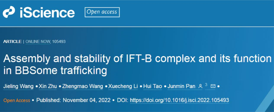 iScience︱清华大学潘俊敏课题组揭示IFT-B复合体的组装和稳定的新机制及其在BBSome运输中的新功能 - 知乎