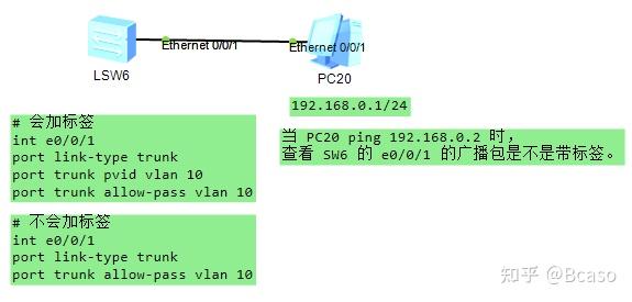 图解 trunk，hybrid - 知乎
