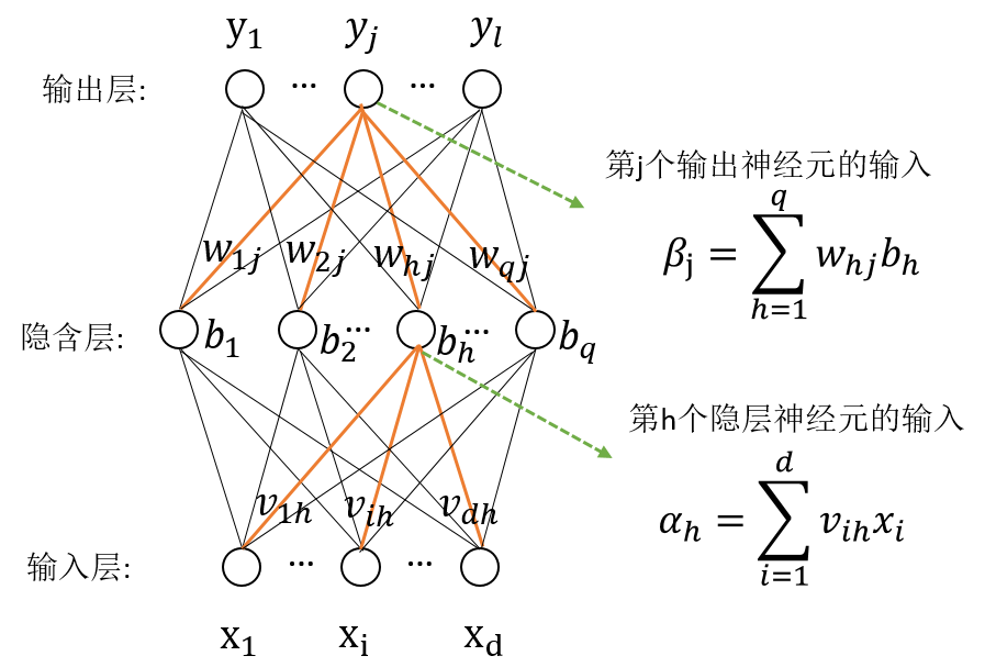 前馈神经网络解密：深入理解人工智能的基石 - 知乎