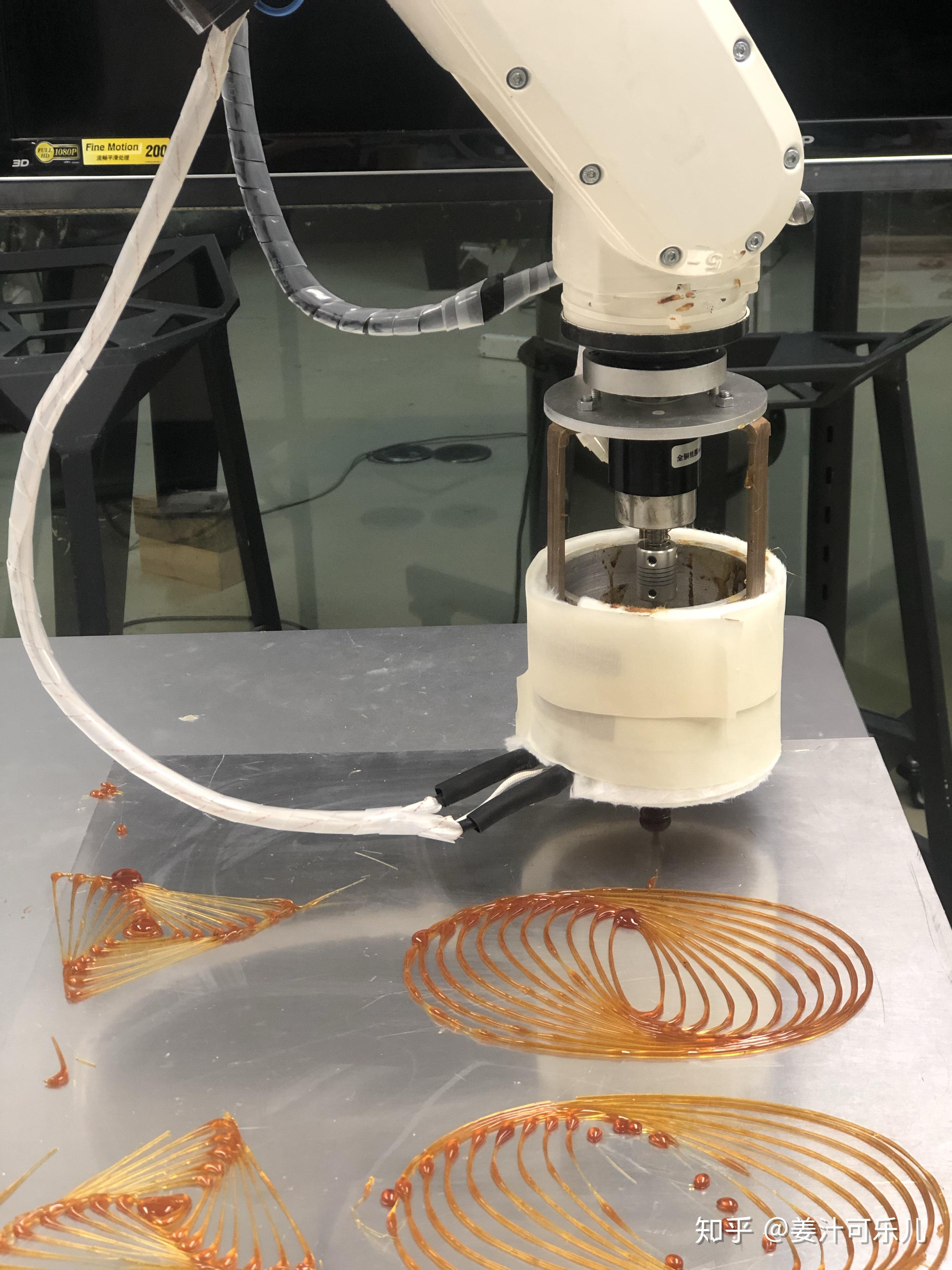 Grasshopper_Parakeet - 知乎