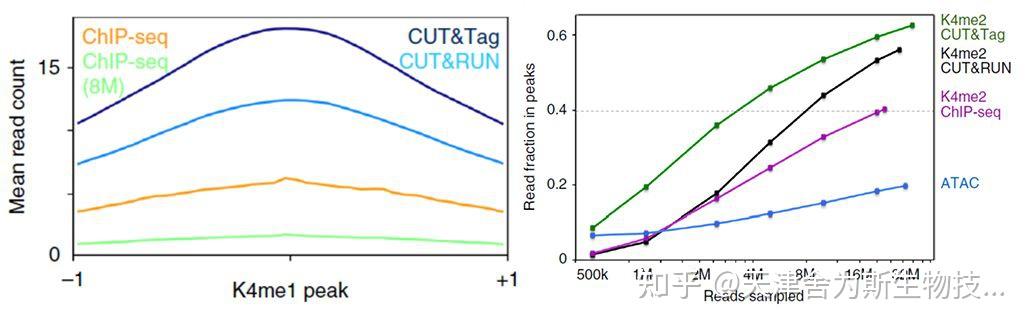 一文看懂CUT&Tag技术|解锁比ChIP-seq更精准高效的DNA和蛋白质互作研究 - 知乎