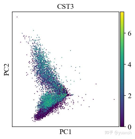 （单细胞-SingleCell）Scanpy流程——python 实现单细胞 Seurat 流程 - 知乎