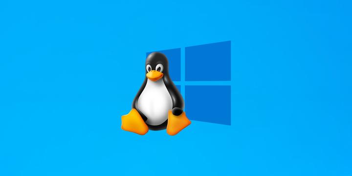 Linux虚拟运行环境：WSL、VMware对比及维护 - 知乎