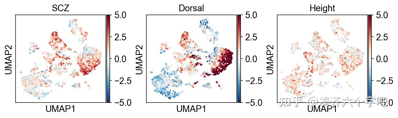 sc-DRS: 连接疾病GWAS与单细胞数据的分析方式 - 知乎