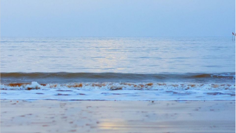 非常全的MPAcc会计专硕985、211院校综合难度排行榜 - 知乎