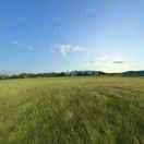 正确理解HR COE的价值 - 知乎