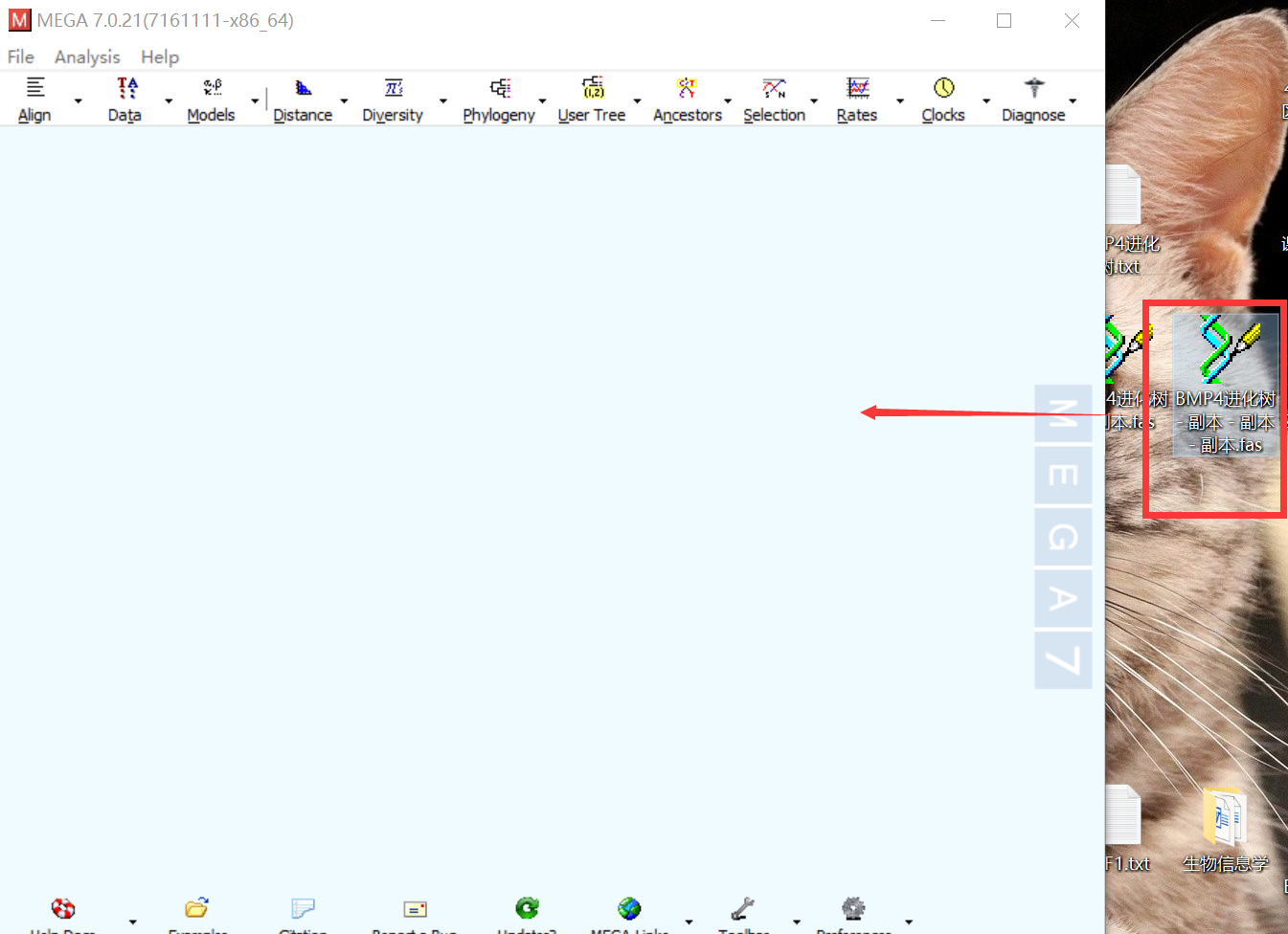 如何利用MEGA构建系统进化树？ - 知乎