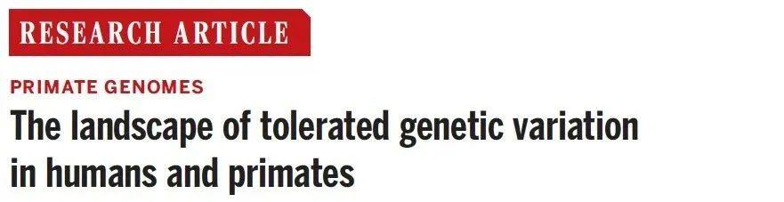 《科学》8篇论文齐发！科学家揭示从灵长类到人的演化历程 - 知乎