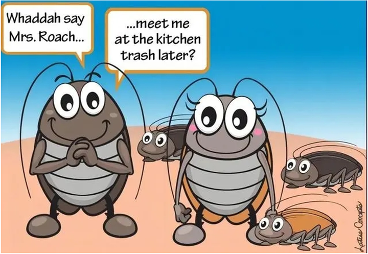 中药、康复新液与美洲大蠊（蟑螂） - 知乎