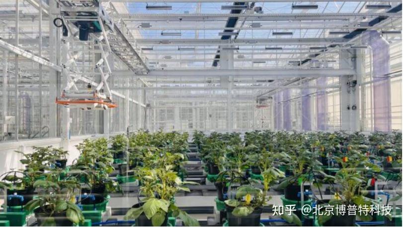 博普特植物表型组学和种质资源研究解决方案 - 知乎