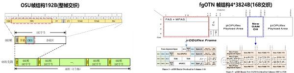 fgOTN（细粒度OTN）标准跟OSU有何关系？ - 知乎