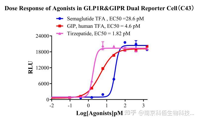 药靶细胞模型---GLP-1R、GCGR、GIPR多靶点激动剂与代谢疾病 - 知乎