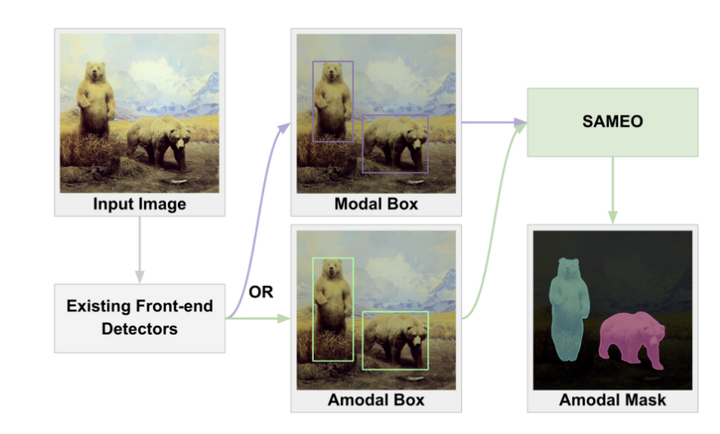 CVPR'25 | 英伟达新作SAMEO：分割一切，无惧遮挡！ - 知乎