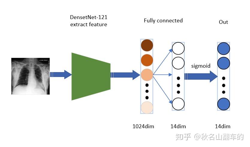 论文笔记：Chexpert:A Large Chest Radiograph Dataset - 知乎
