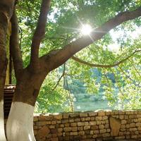 FerroOrange（Fe2+indicator），亚铁离子荧光探针的化学性质 - 知乎