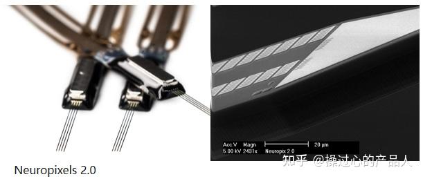 一文读懂（1）- Neuropixels - 知乎