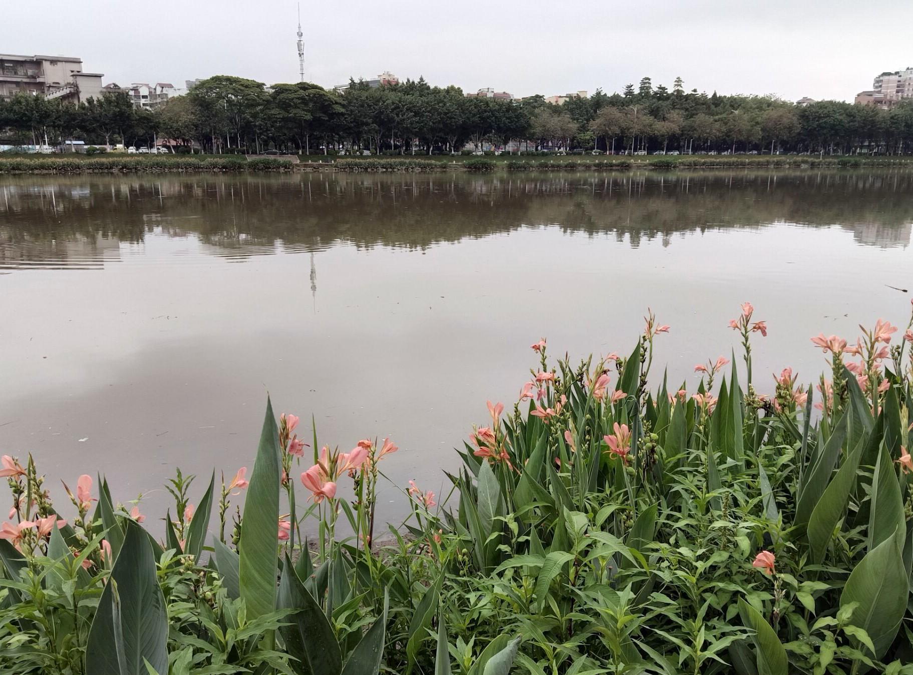 1399元！荣耀X70评测报告首发：除了耐摔，整体也还不错 - 知乎