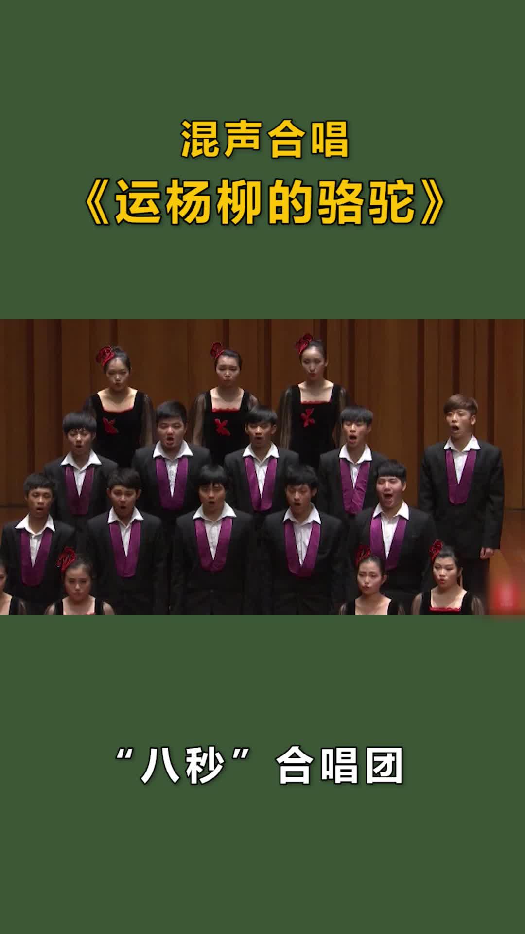 无伴奏混声合唱《运杨柳的骆驼》 知乎