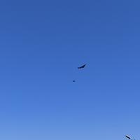 WPF系列四：图形控件Rectangle - 知乎