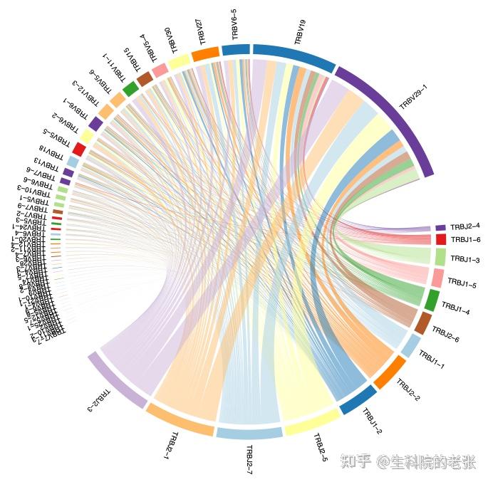 全网第一篇免疫组库分析教程[MiXCR+VDJtools+Python+R] - 知乎
