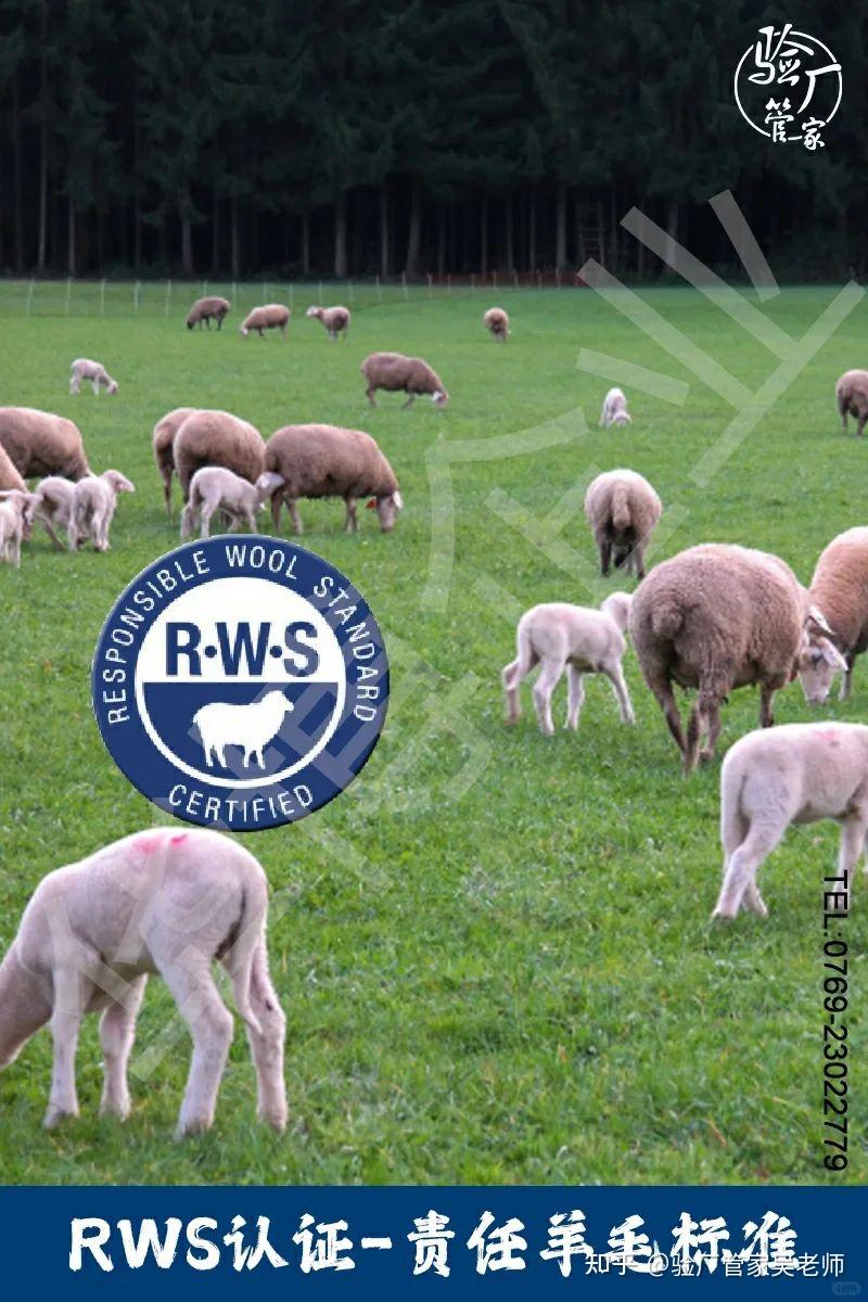 什么是RWS认证?认证范围是什么? - 知乎