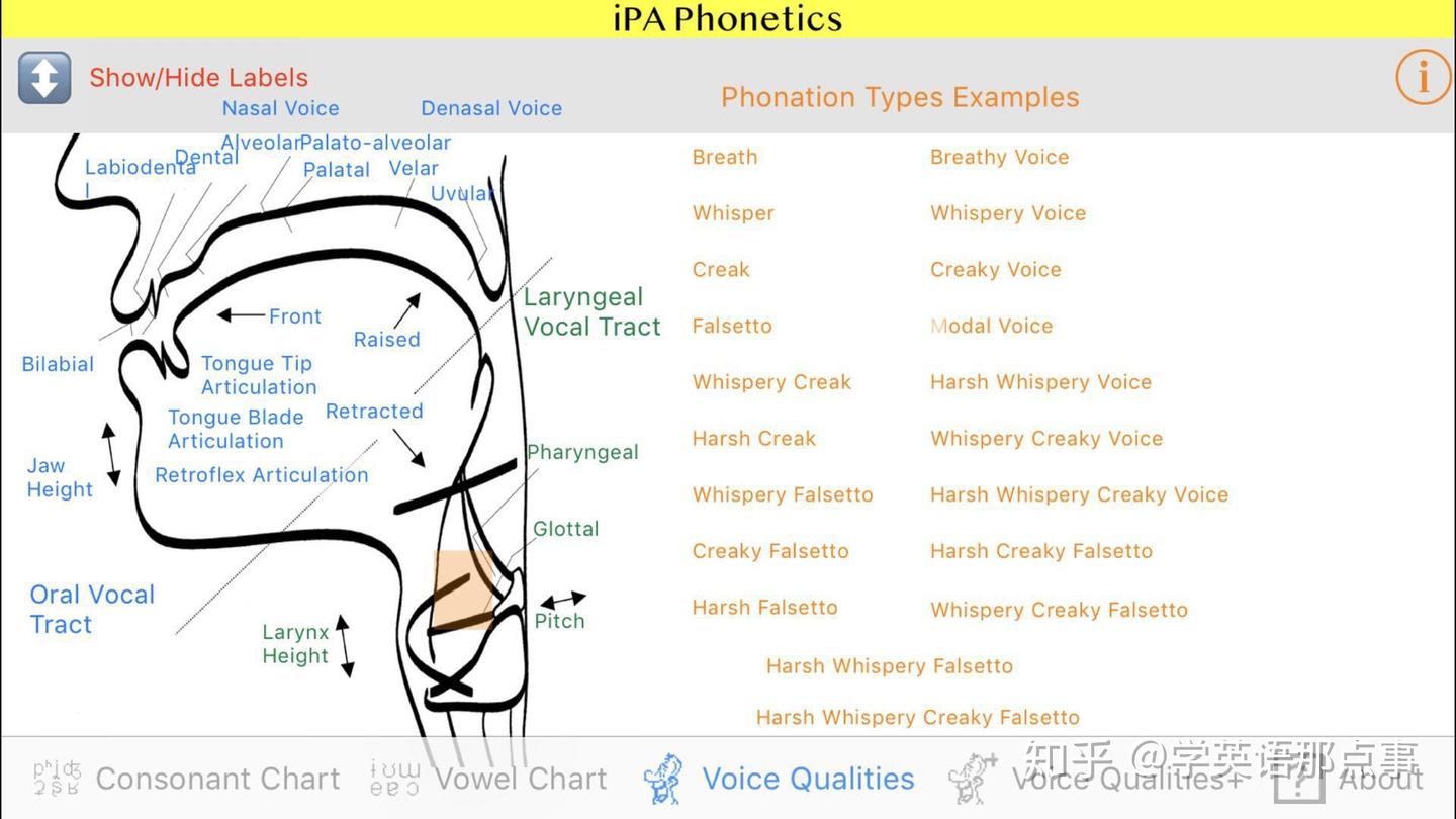 用这款小众app自学国际音标（IPA），完美！ - 知乎