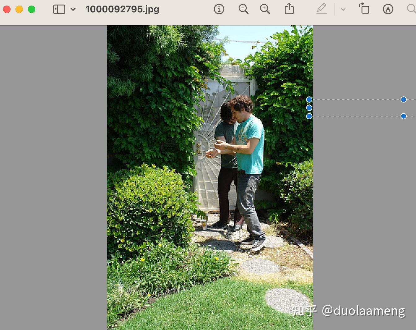 Flickr30K Image dataset解析及处理 - 知乎