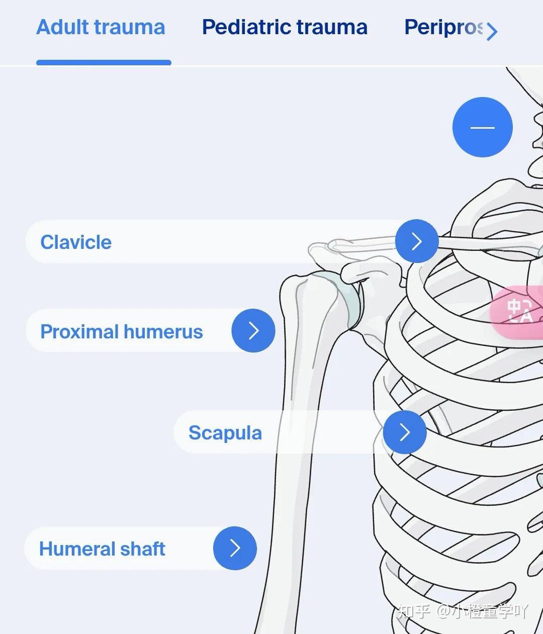骨科AO 美图和手术指南从何而来，一文教会你 - 知乎