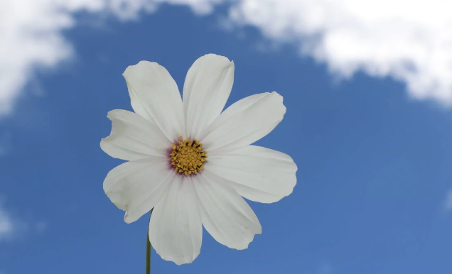 针对美国“断供EDA”一事中的GAAFET究竟是什么？ - 知乎