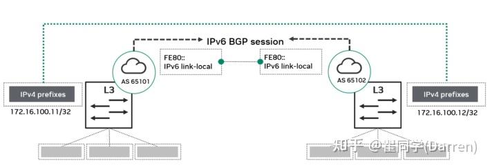 NCP-AIN Spectrum-X Cumulus Linux BGP - 知乎