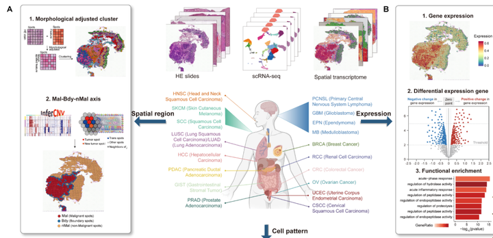 空间数据库SpatialTME与空间主要分析 - 知乎