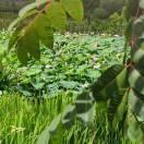 nilmtk的热门数据集REDD分享 - 知乎