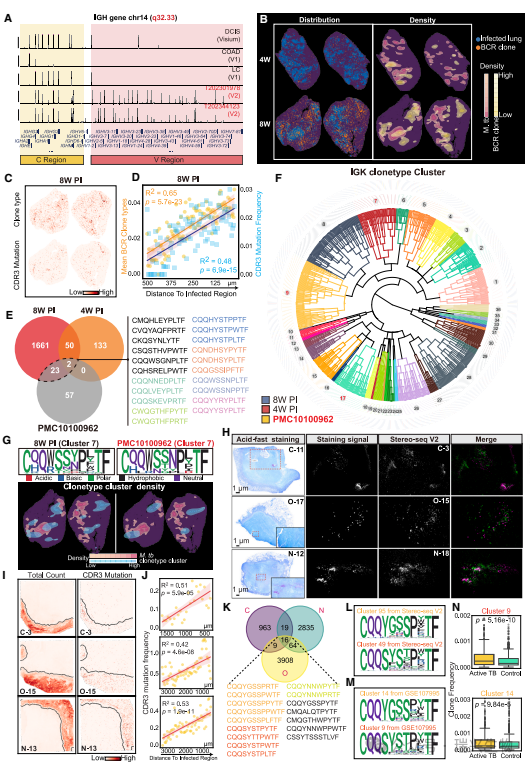 Cell | Stereo-seq实现宿主-微生物时空解析，破解FFPE难题 - 知乎