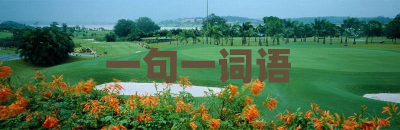 一句一词语 （46）branch out - 知乎