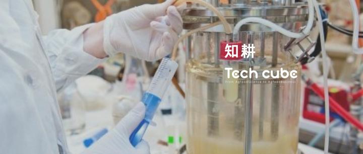 知耕Tech｜打造CRO+CDMO复合模式，集成以微生物为底盘的合成生物研发生产全链条关键技术 - 知乎