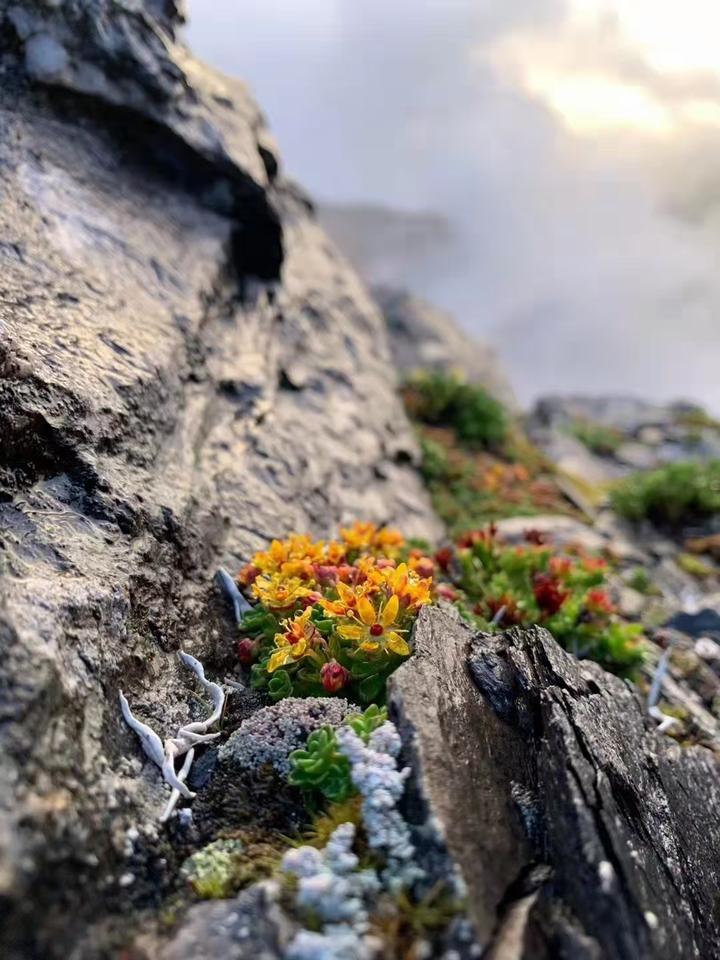 上海港危险品叶醇UN1987海运出口流程 - 知乎