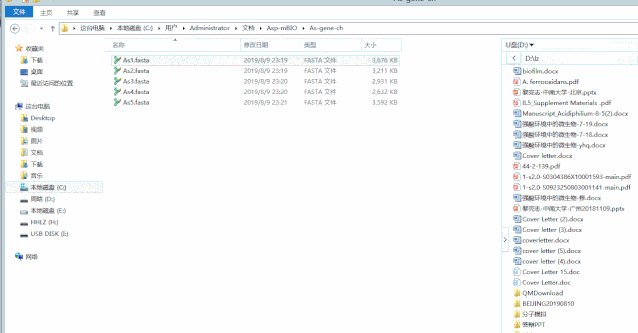 干货 | 当 BioEdit 遇上 Excel ，批量处理序列不用愁！ - 知乎