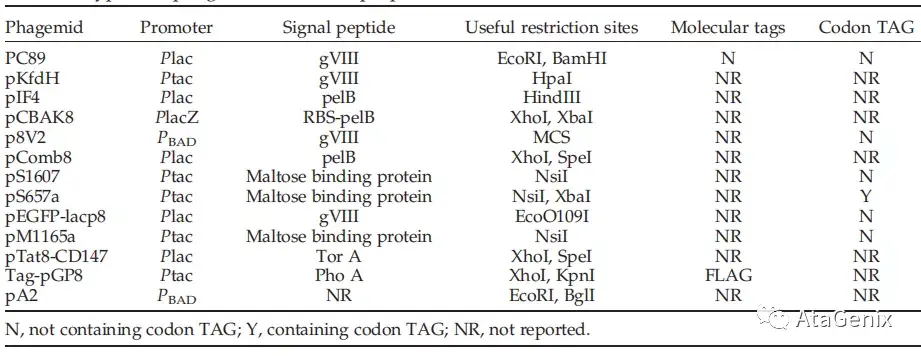 技术分享第十八期 | Get it，你为什么要选择噬菌粒？ - 知乎