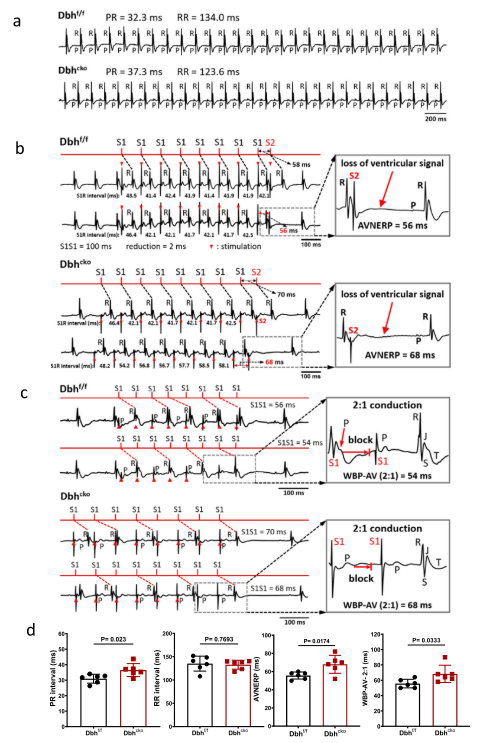 Nat. Commun. | Stereo-seq助力绘制不同发育阶段小鼠心脏的单细胞时空图谱 - 知乎