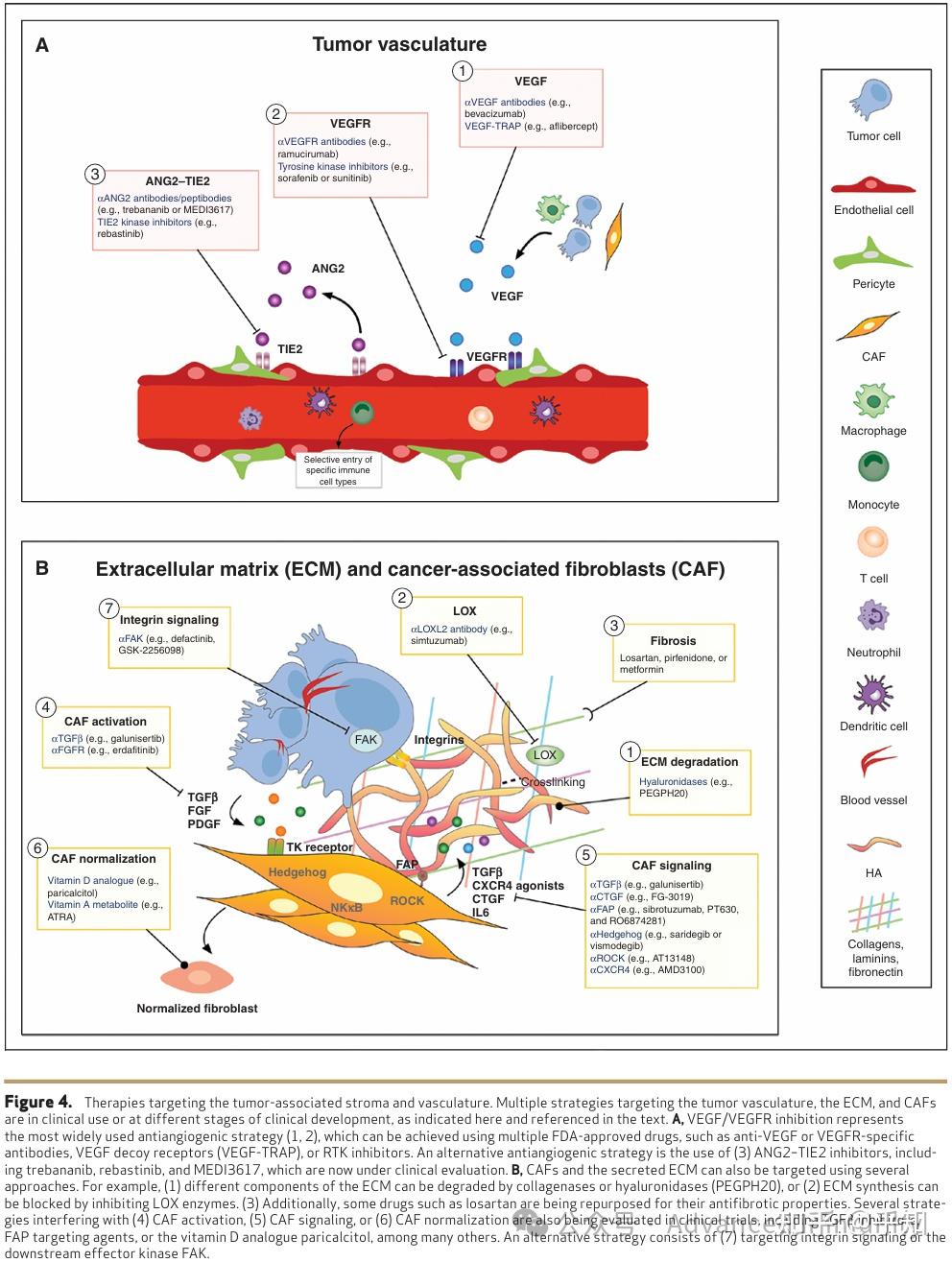 Cancer Discov | 肿瘤微环境（TME）经典综述01——肿瘤微环境的治疗靶向 - 知乎