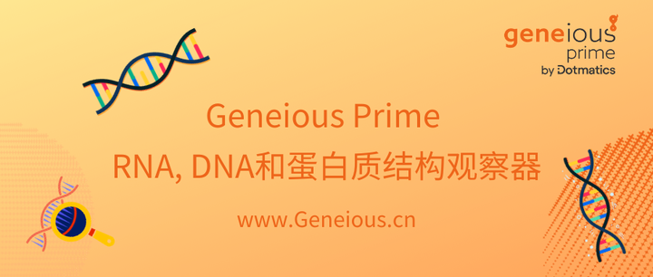 Geneious Prime RNA, DNA和蛋白质结构观察器 - 知乎